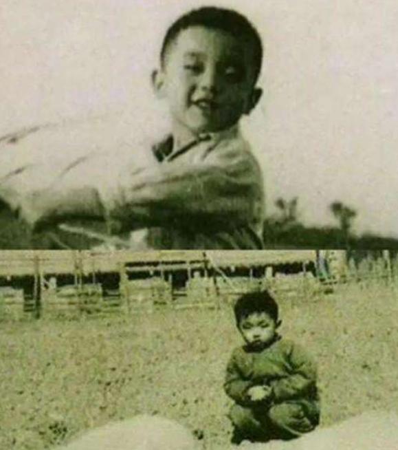 Fu Biao: A genuine "good guy" in the entertainment industry, died young ...