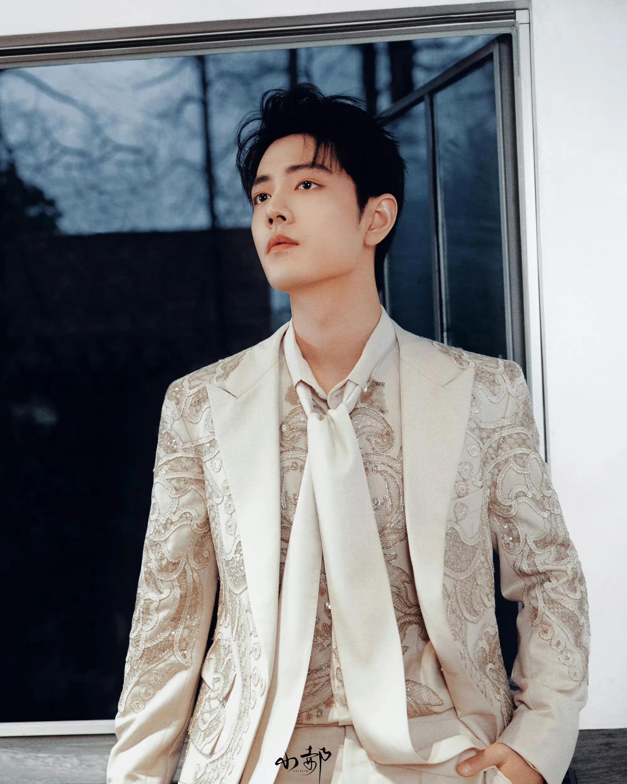 Weibo Night Xiao Zhan - iNEWS