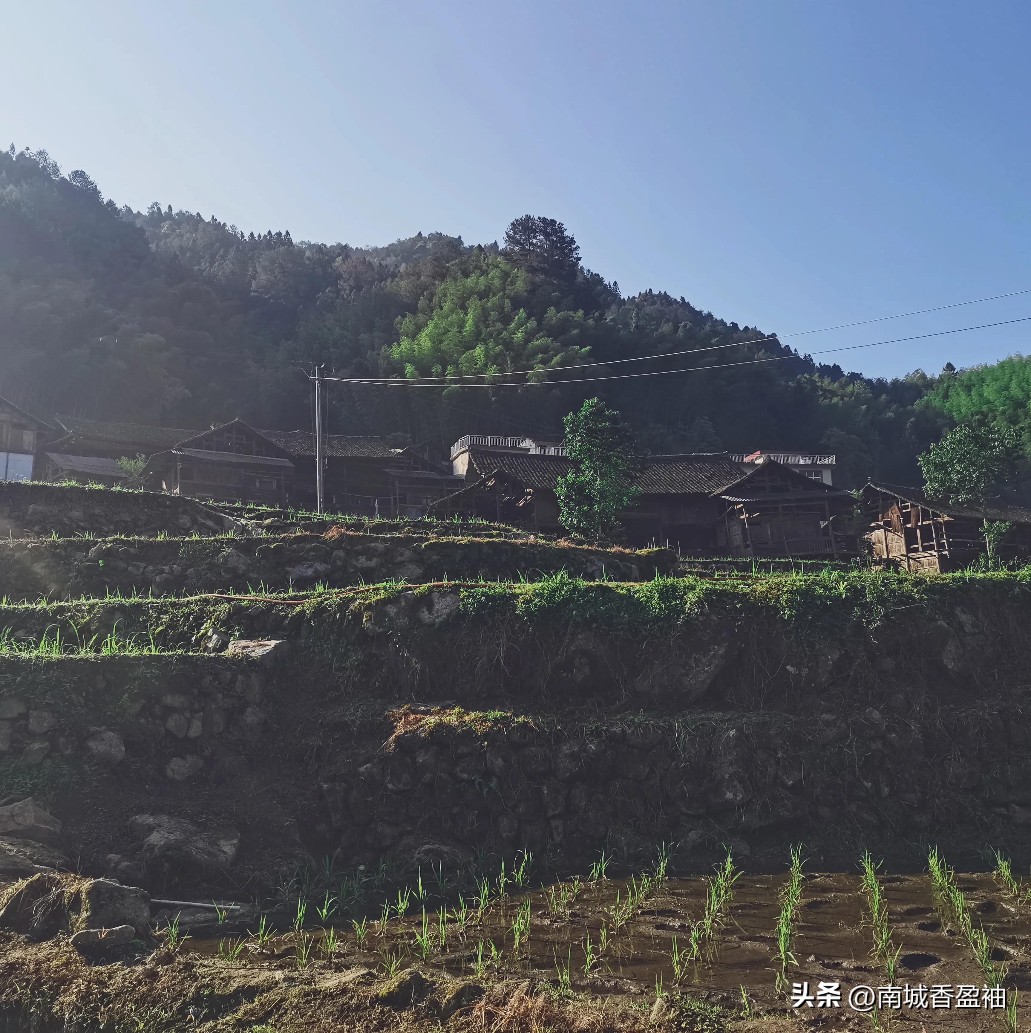 The Forgotten Meishan Hunting Technique - iNEWS