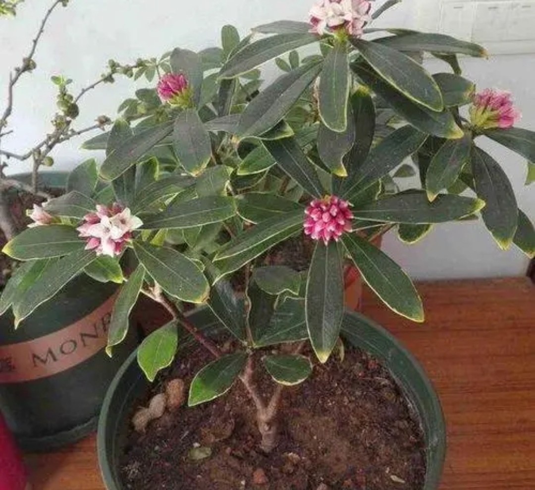 Raise Ruixiang in April, achieve "three more and one less", and grow ...