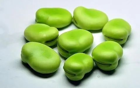 Some people can't eat broad beans, remember this poisoning first aid ...