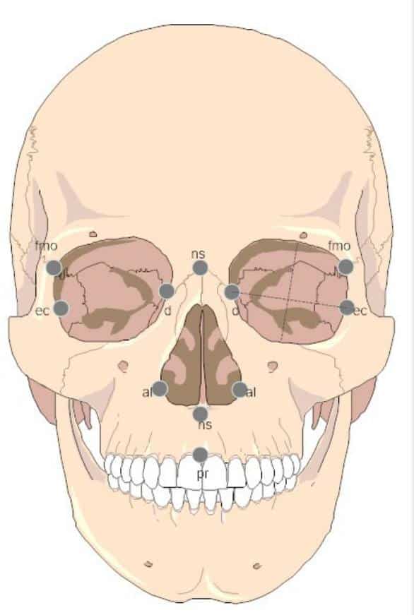 Neanderthals and modern humans interbred primarily in the Middle East ...