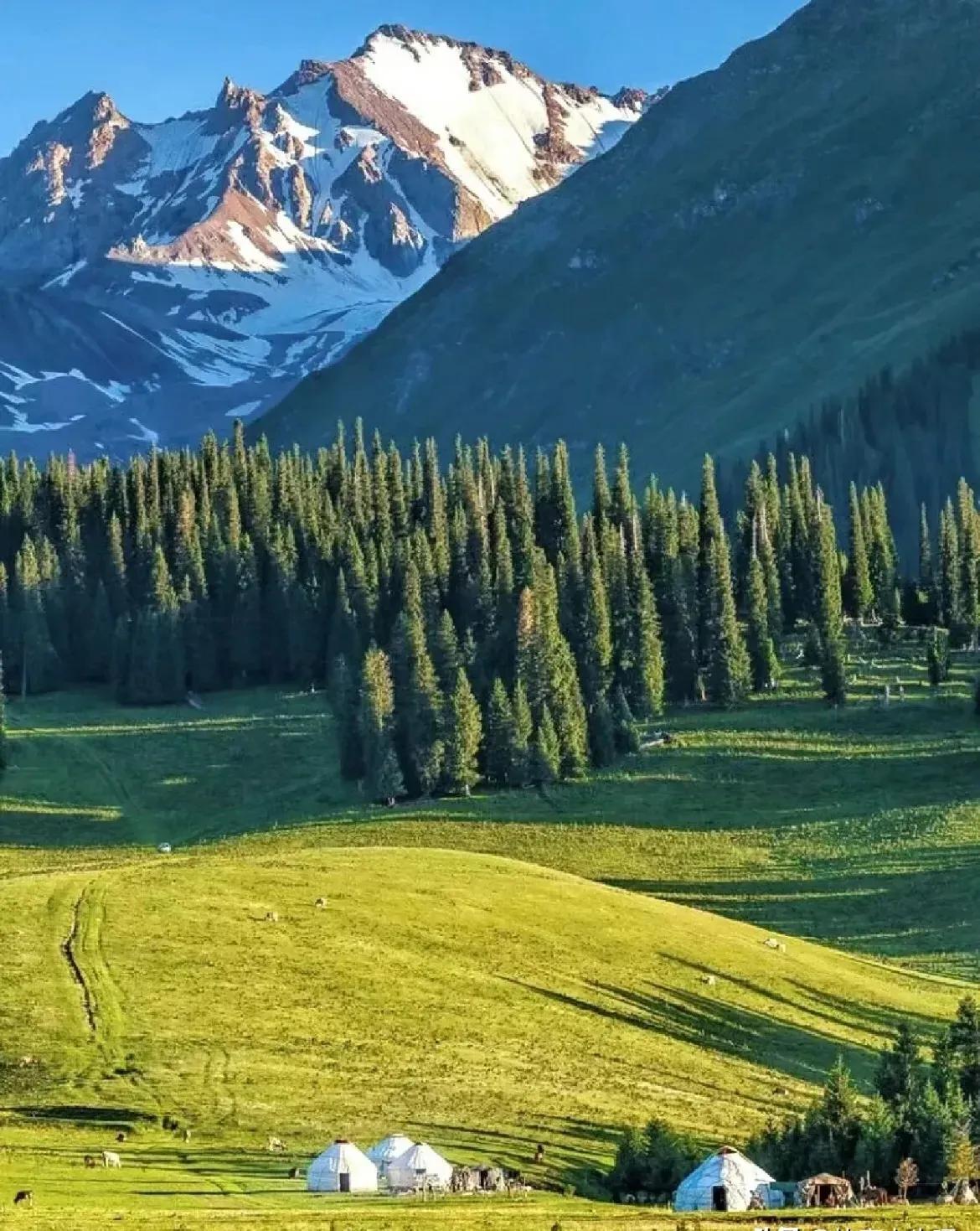 Welcome to Damei Xinjiang - iNEWS