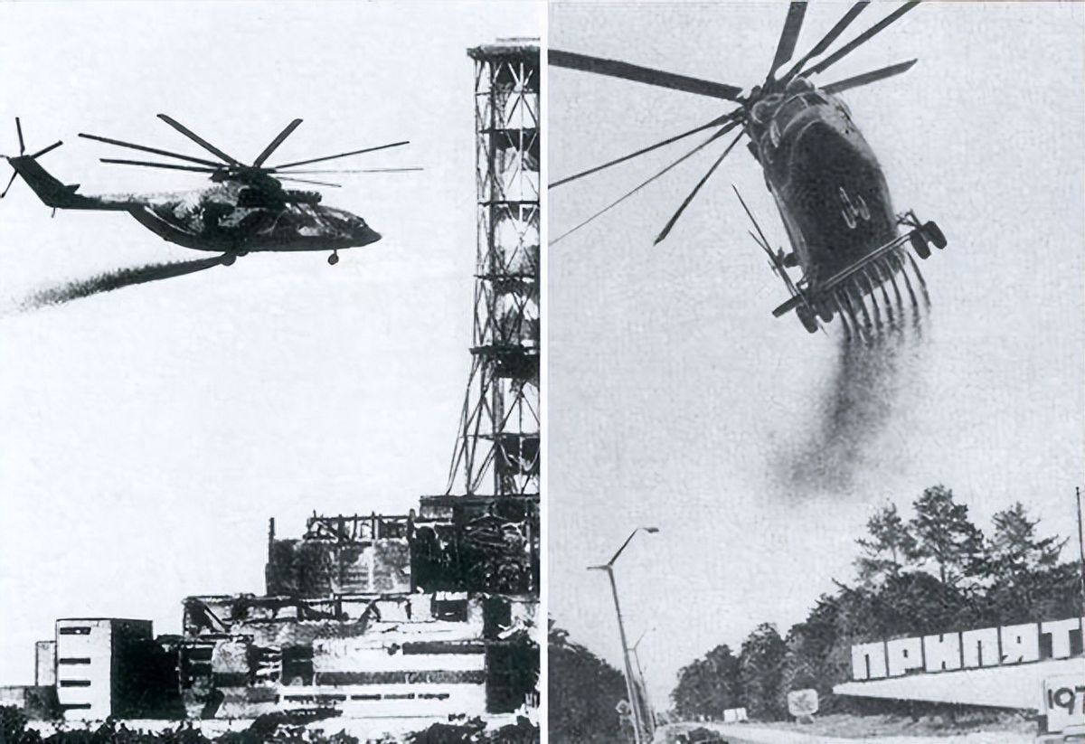 Why has Chernobyl become a paradise for wild animals, but still a no-go ...
