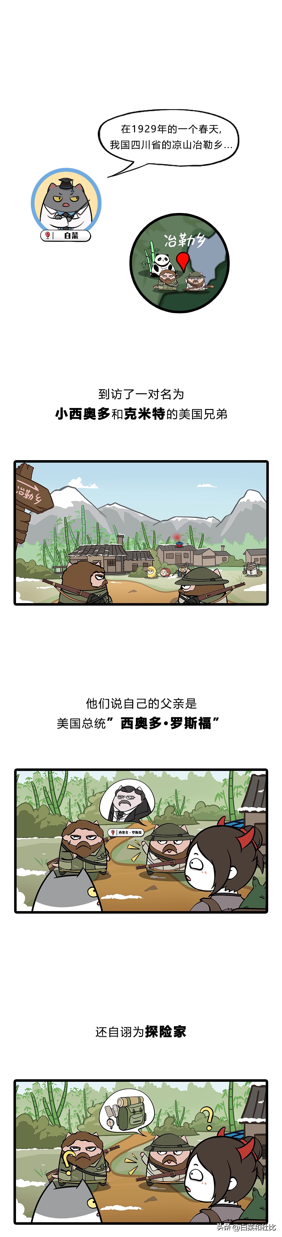 How miserable was the giant panda in the past? (Cabbage Dolby's ...