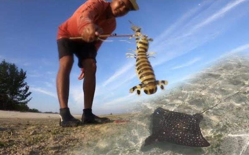 An Indonesian man catches Pippi shrimps at the beach. He caught three ...