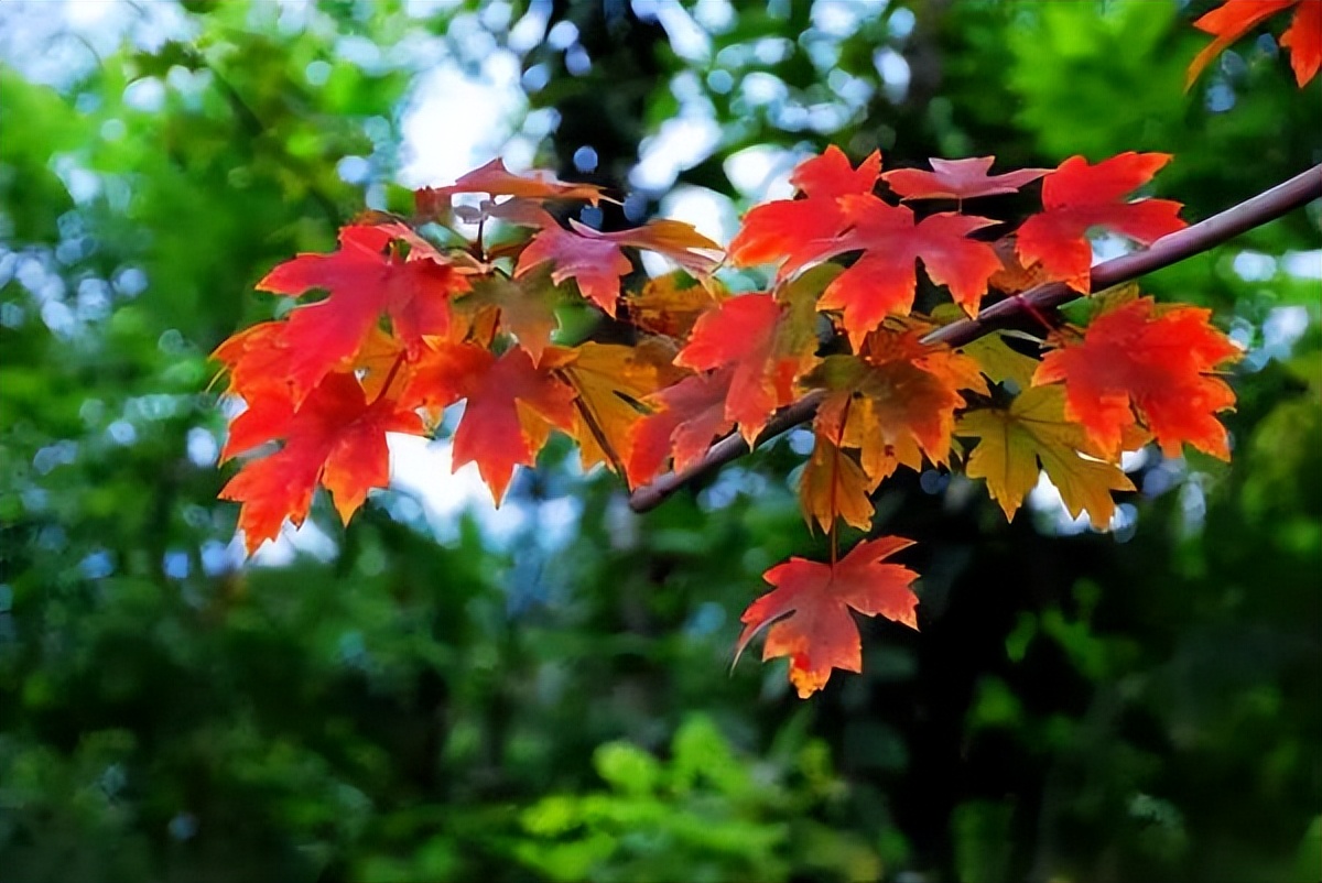 This morning, I will dedicate all the respect in my heart to the ...