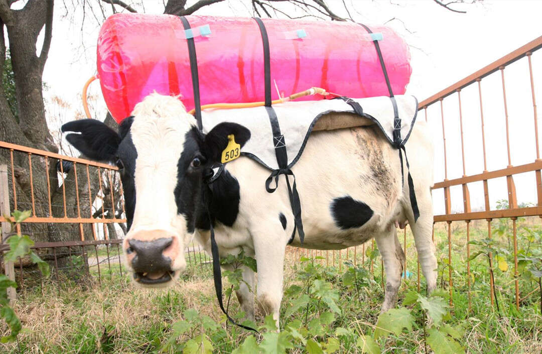 The Texas farm explosion in the United States killed more than 18,000 ...