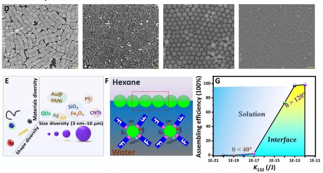 The particle assembly efficiency is as high as 97.5%!Chinese scholars ...