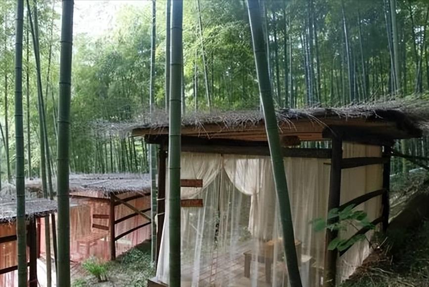 From four aspects, show the reasons for the formation and inheritance ...