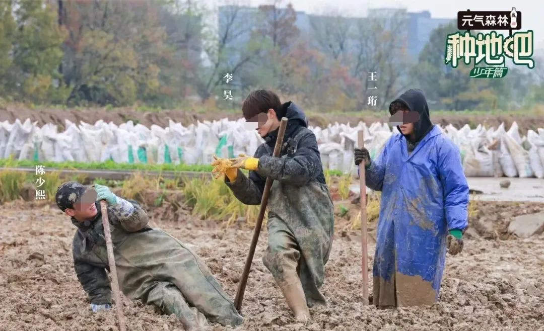 Want to get rid of the singles first? The large-scale reality show ...