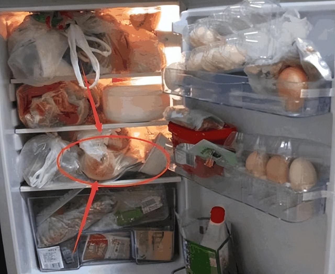 Suggestion to everyone: No matter how big the refrigerator is, don't ...