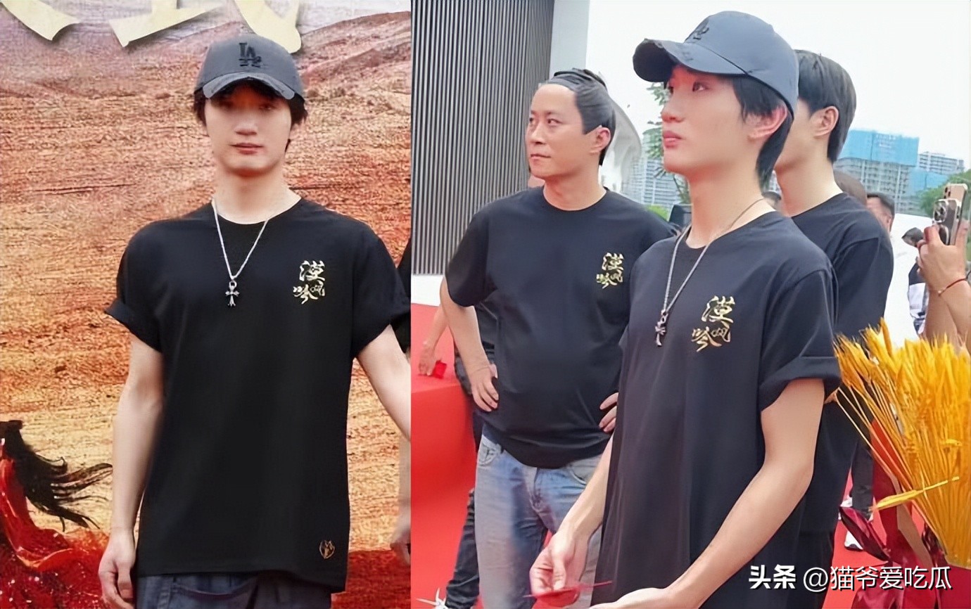The second son of Holiland also went to act: A list of Luo Cheng's ...