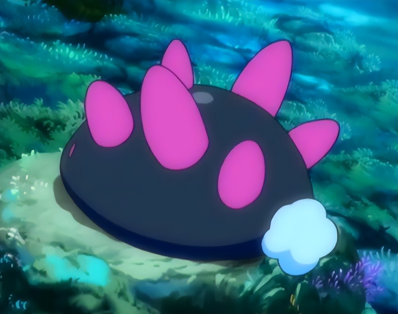 "Pokémon" can't take the initiative to output the boxing sea cucumber ...