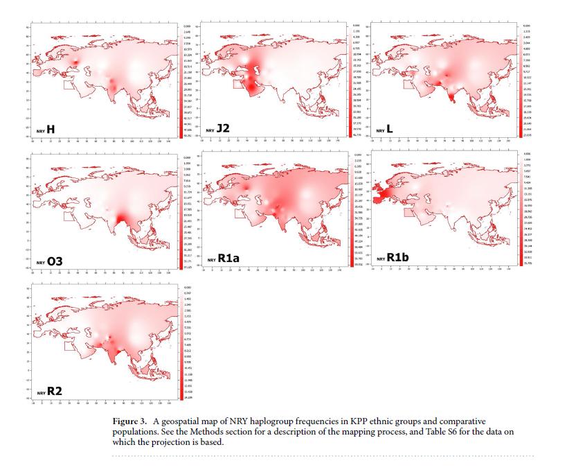 76% of the sire lines of the Jadoon tribe in the northern mountains of ...