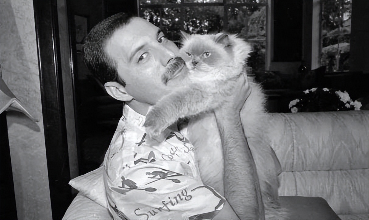 Love and Music: Freddie Mercury's Musical Legend, Its Fascination and ...