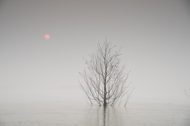 Liangzhou described by Cen Shen is a corner of the prosperity of Tang ...