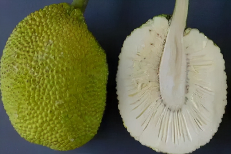 Top ten rare fruits in the world: few people have eaten more than three ...