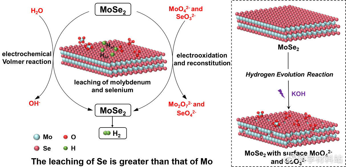 Unexpected dynamic evolution of molybdenum and selenium on MoSe2 ...