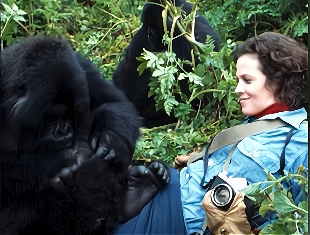 Cheetah and Lion Killer - Congo Billy Ape, a super-powerful primate hybrid of gorilla and ...