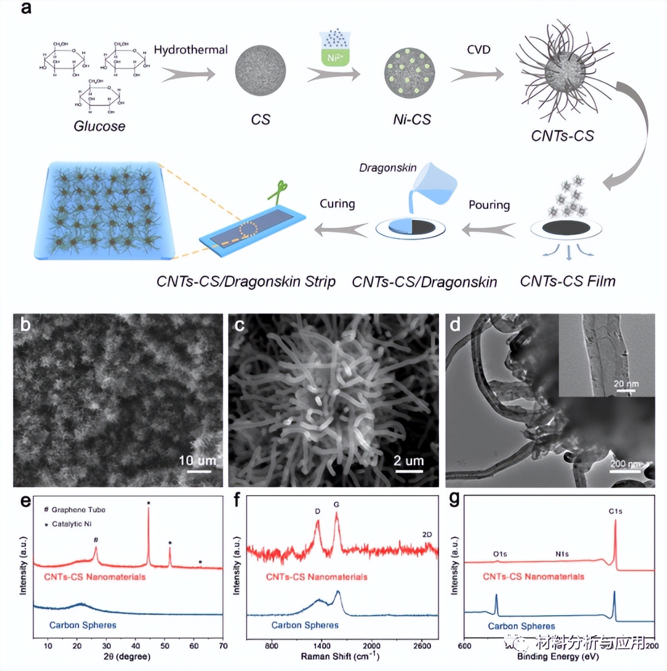 Shanghai Institute of Ceramics: Octopus-like carbon nanomaterials for ...