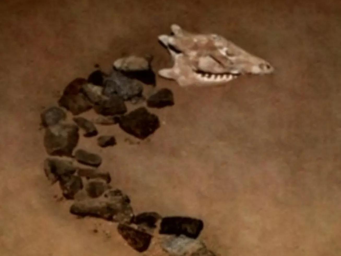 The evolution of Chinese dragons - iMedia