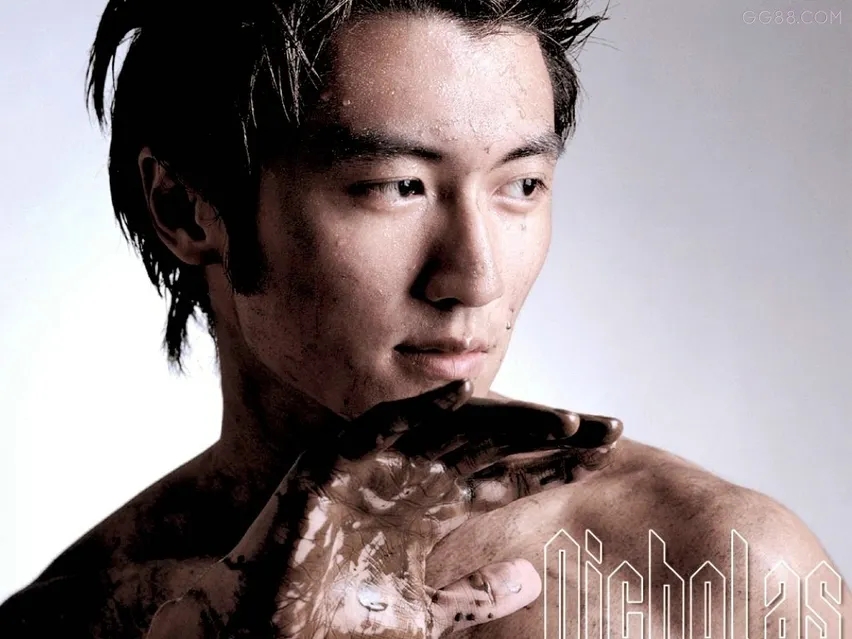 Hong Kong's top ten handsome male singers in the 1990s, Louis Koo is on ...