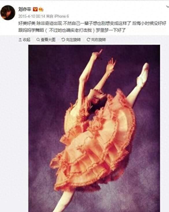 Looking back at Liu Xiaoli 16 years later, is her life a success if she gives up her career and ...