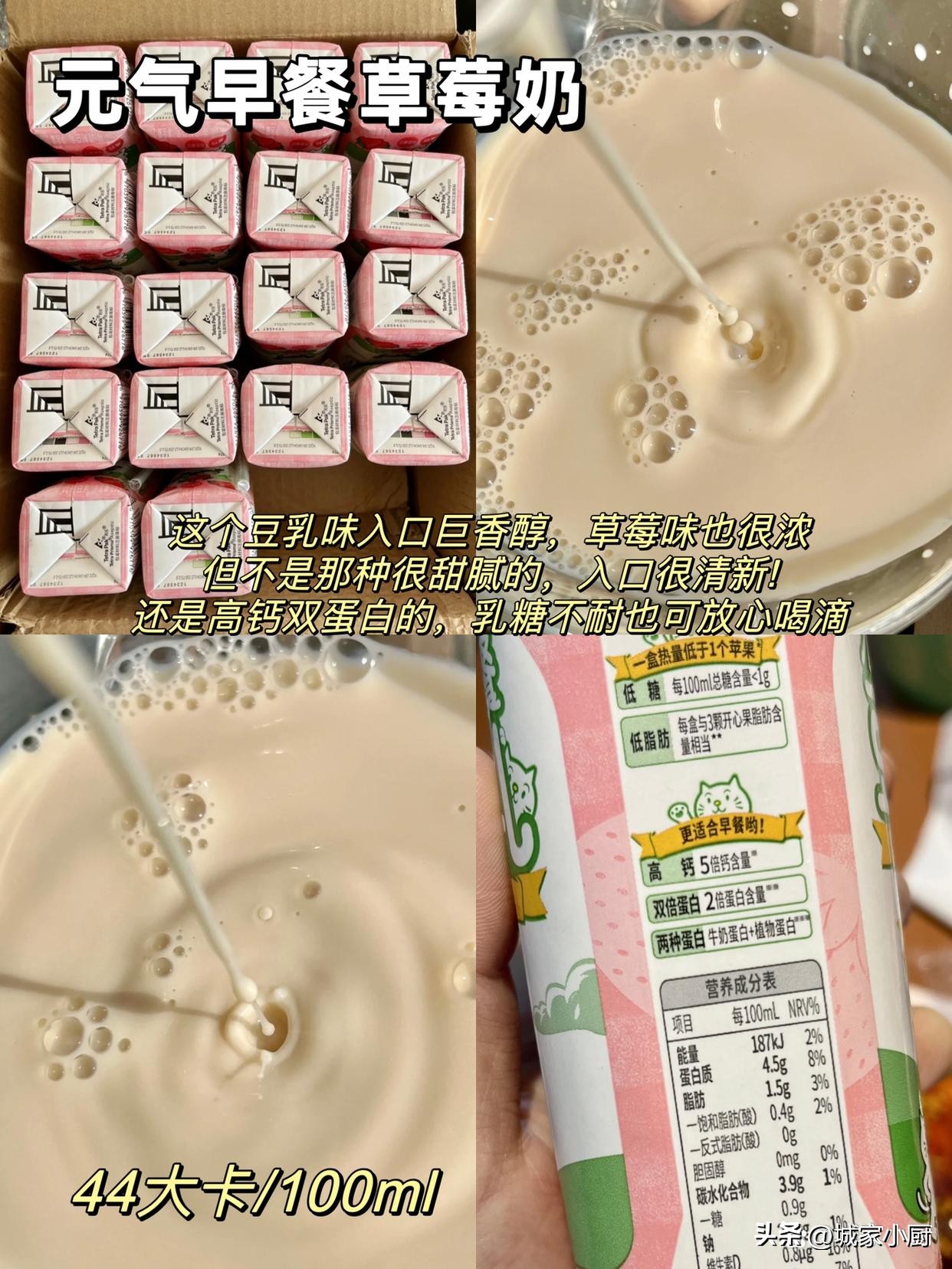6 types of delicious milk to share, a must for the student party for ...