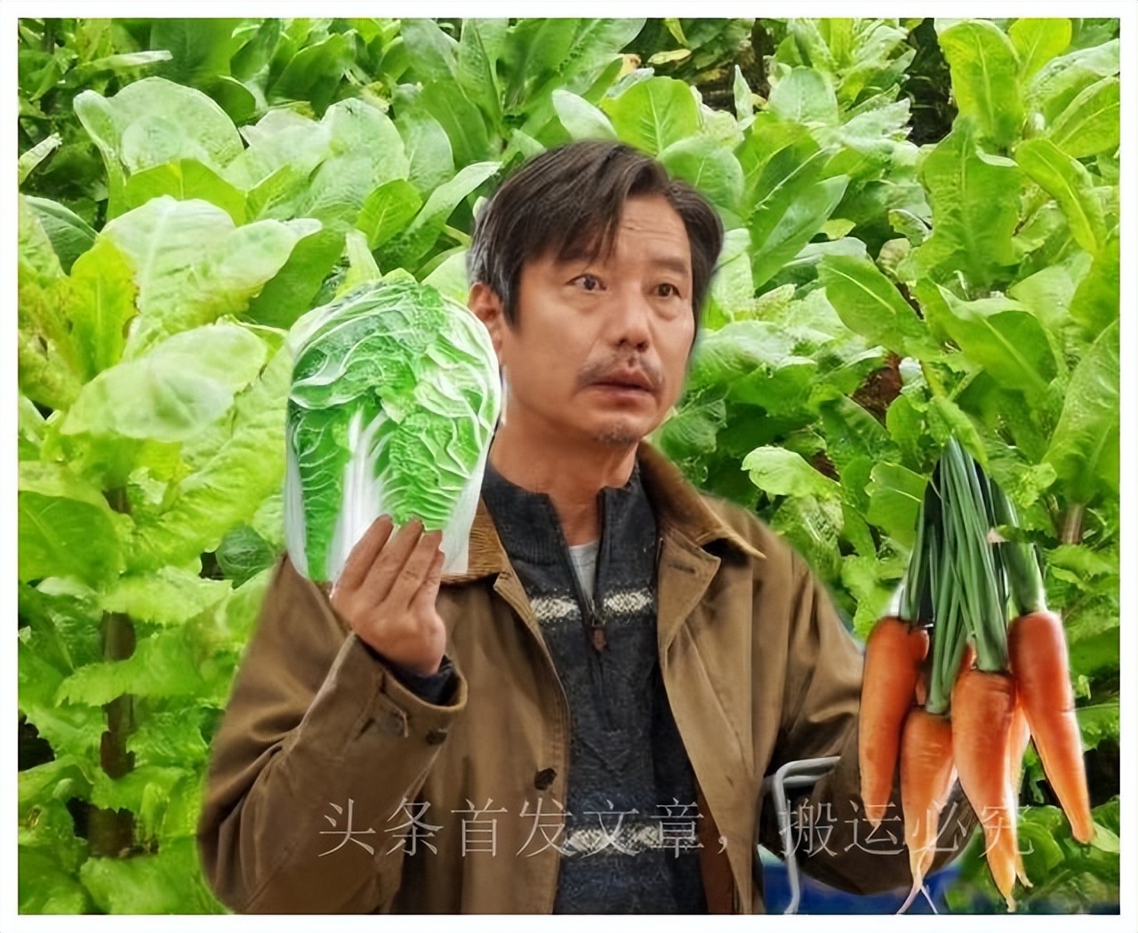 Chinese directors! Please learn how the director of "Sunshine With Me ...