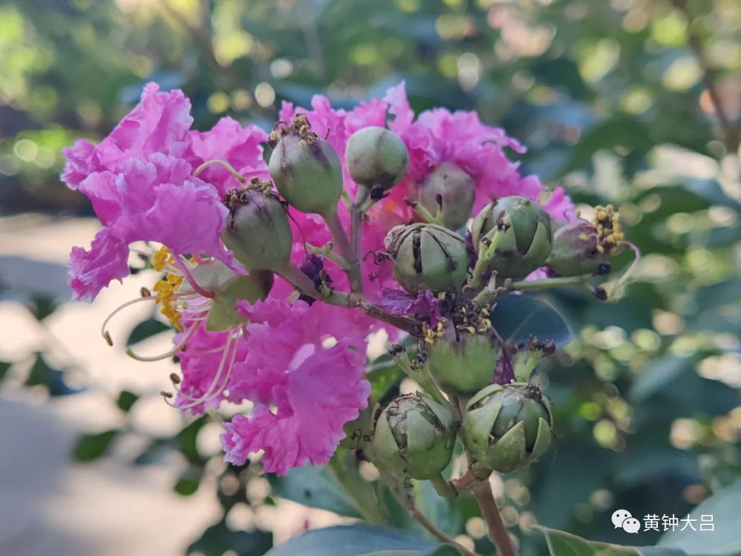 Reactive balance training makes me feel a lot (0810) - iNEWS