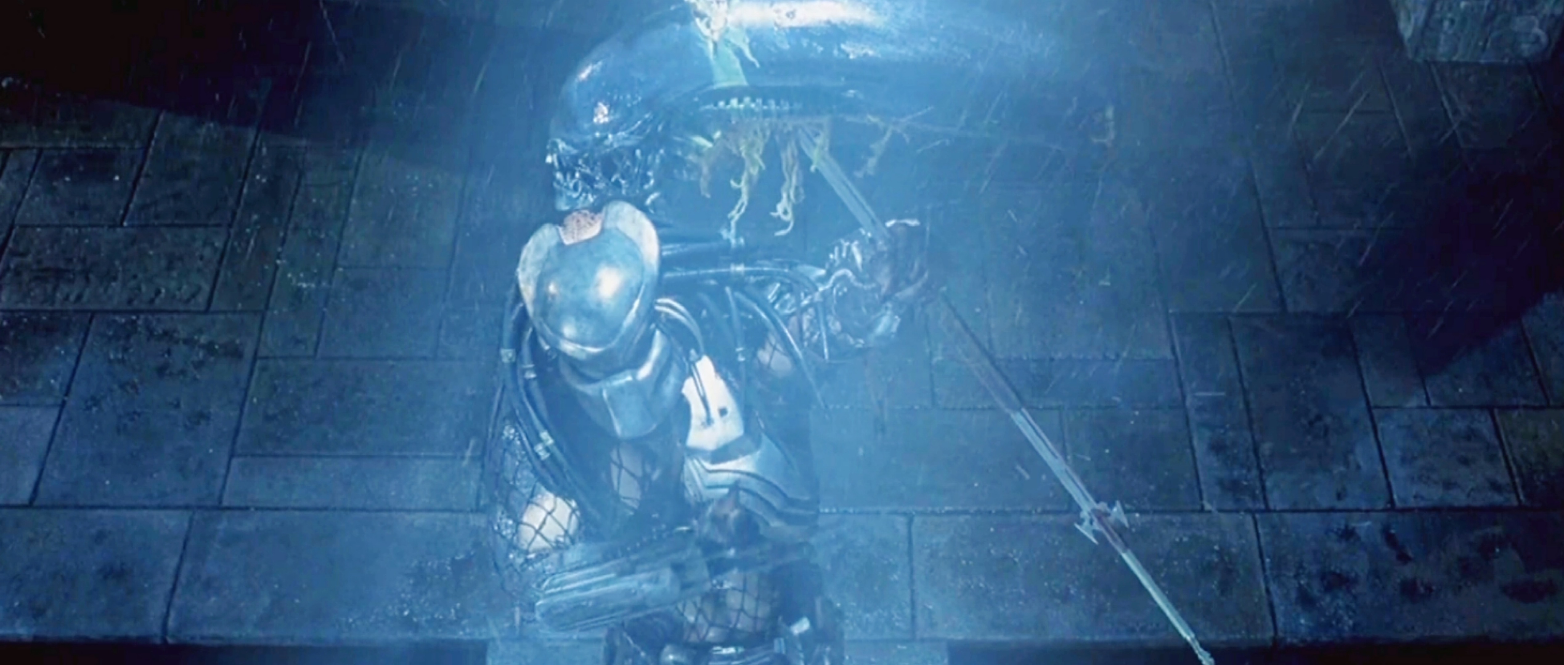 Detailed explanation of the relationship between the Predator, the ...