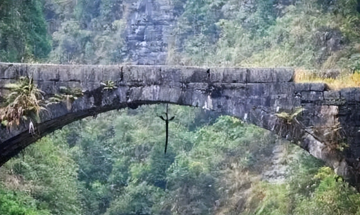 "Walking Jiao" has happened many times along the Yangtze River. Can ...