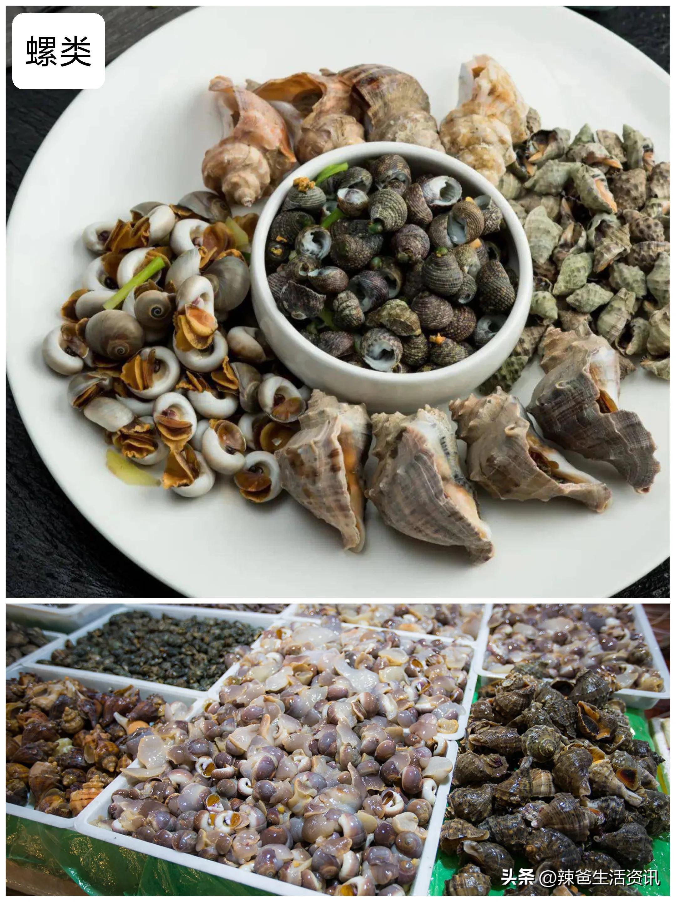 10 kinds of snails commonly eaten in the sea, how many have you eaten ...