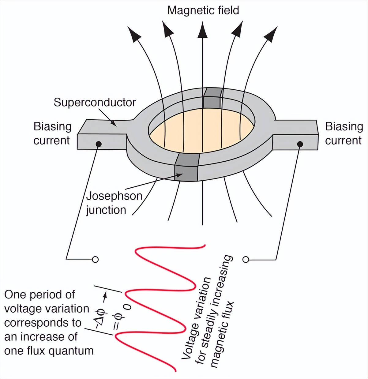 Magnetocardiogram - the new star of cardiovascular examination coming ...