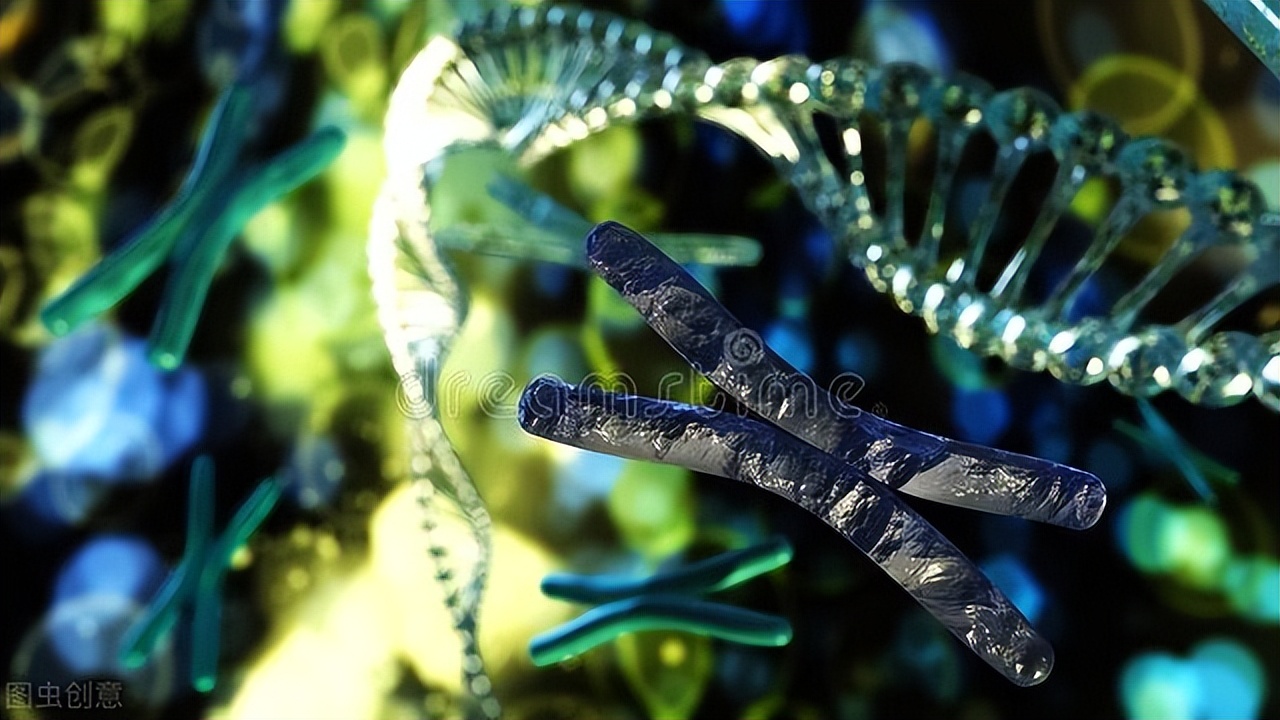 The sequencing of the human gene map was completed for the first time ...