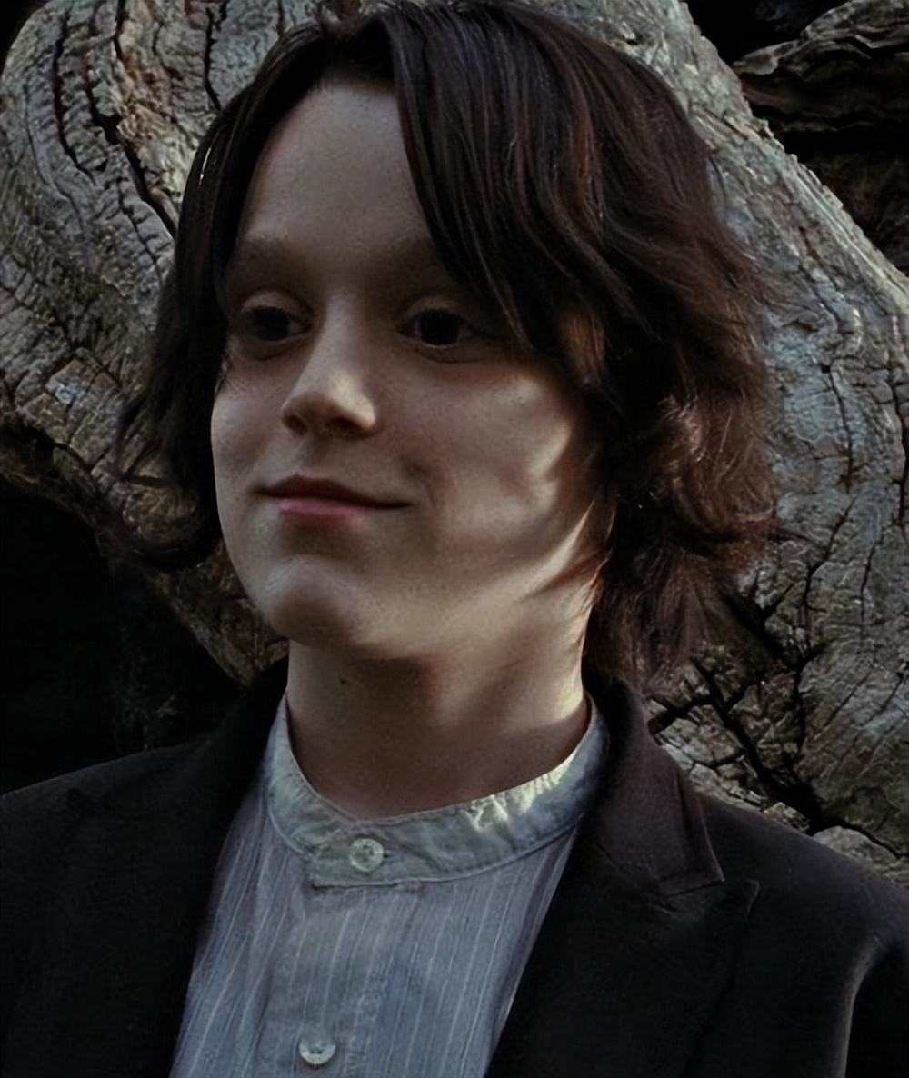 Analysis of Professor Snape in "Harry Potter", discussing the reasons ...
