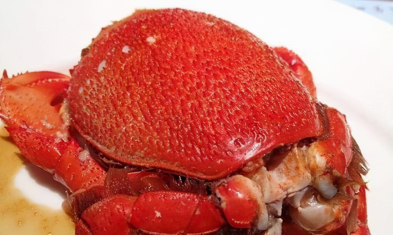 Top 10 Most Expensive Seafood in the World!up to millions of dollars ...