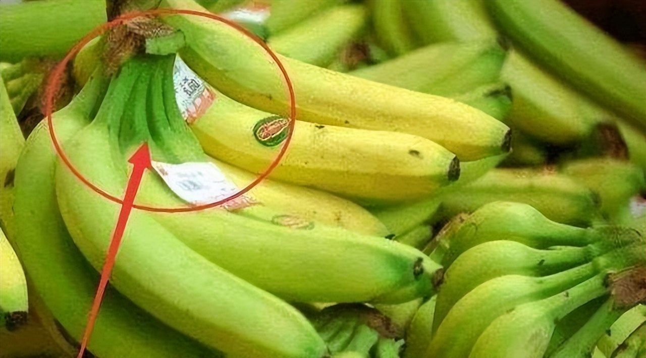 The "fecal pusher" of the intestines is not a banana. If you insist on ...