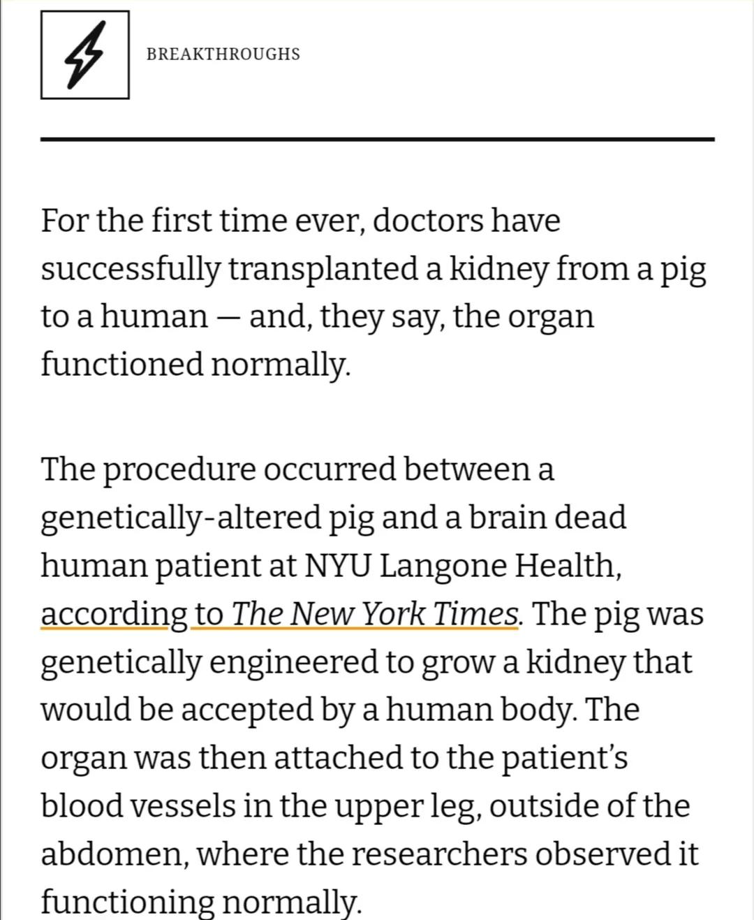 incredible! Doctors successfully transplant pig kidney into human body ...