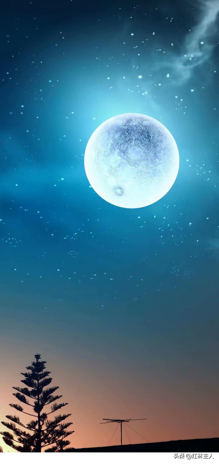 Honglin Wudao "Han Feizi - Jie Lao" 109th place is still - iNEWS