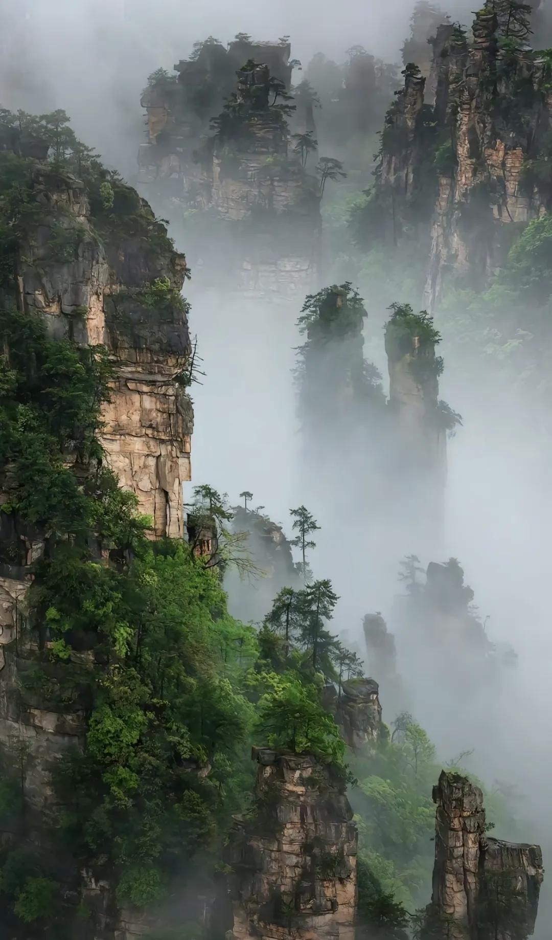 Singer Faouzia said: "Zhangjiajie is the most beautiful scenery I have ...