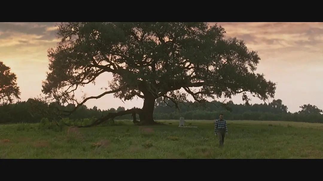 Forrest Gump's life has left an unforgettable impression on people, and ...