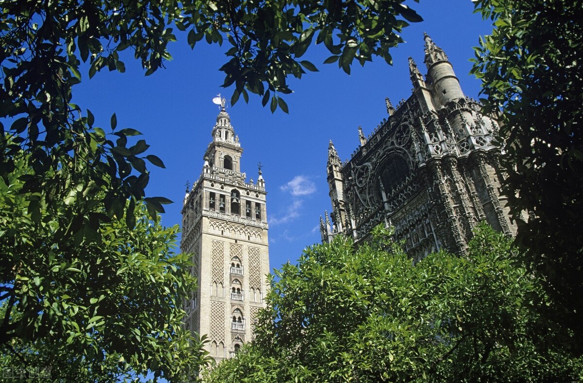 Another university passed the "double first-class", but the students ...