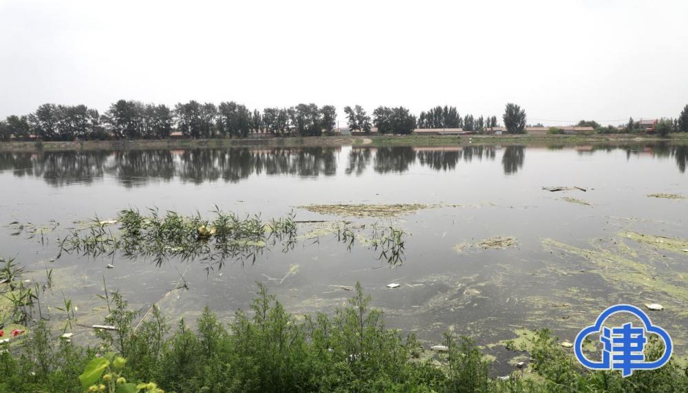 The flood level and flow of the Daqing River reaches its peak and is ...