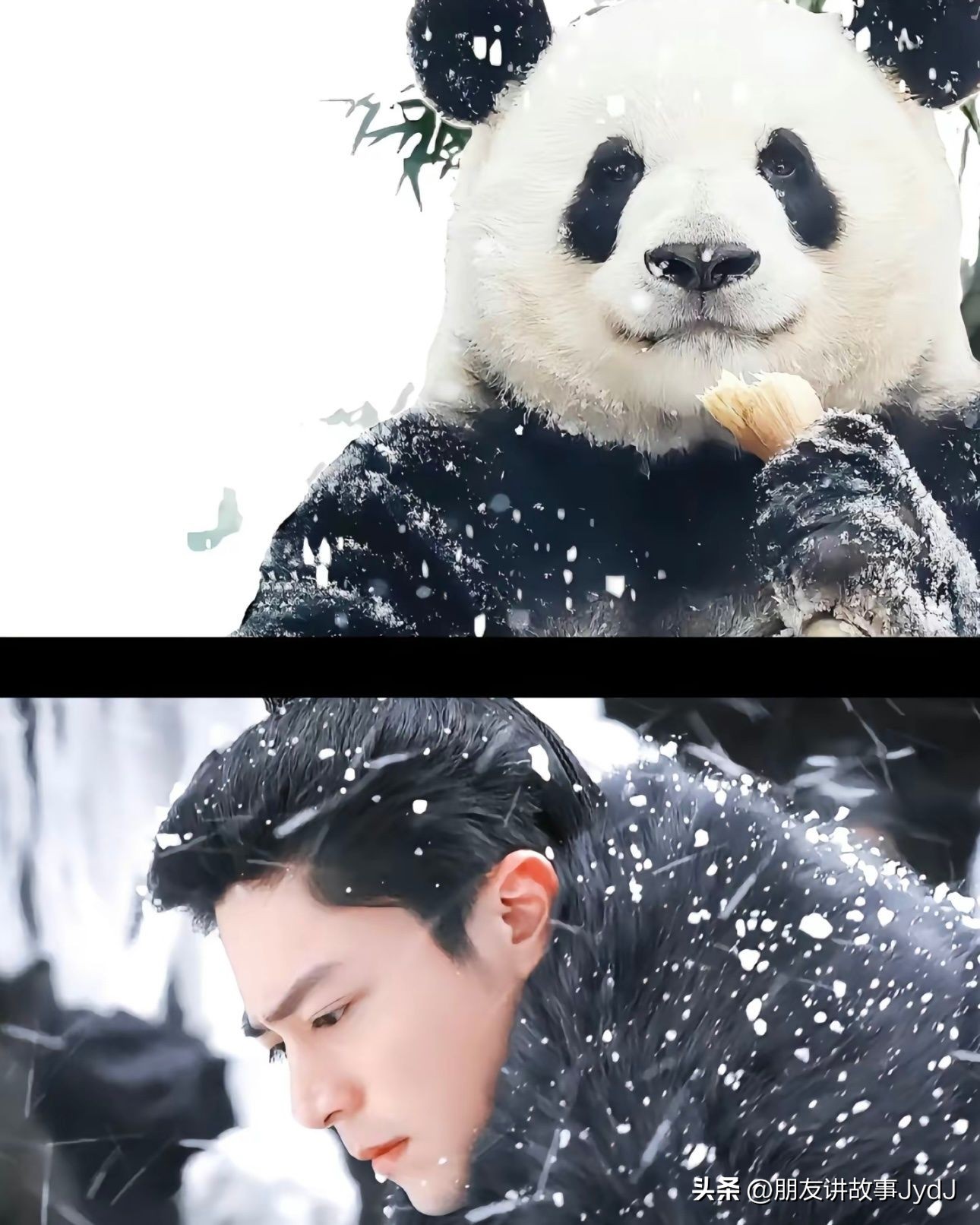 The cute giant panda—Menglan, who escaped from prison and became ...