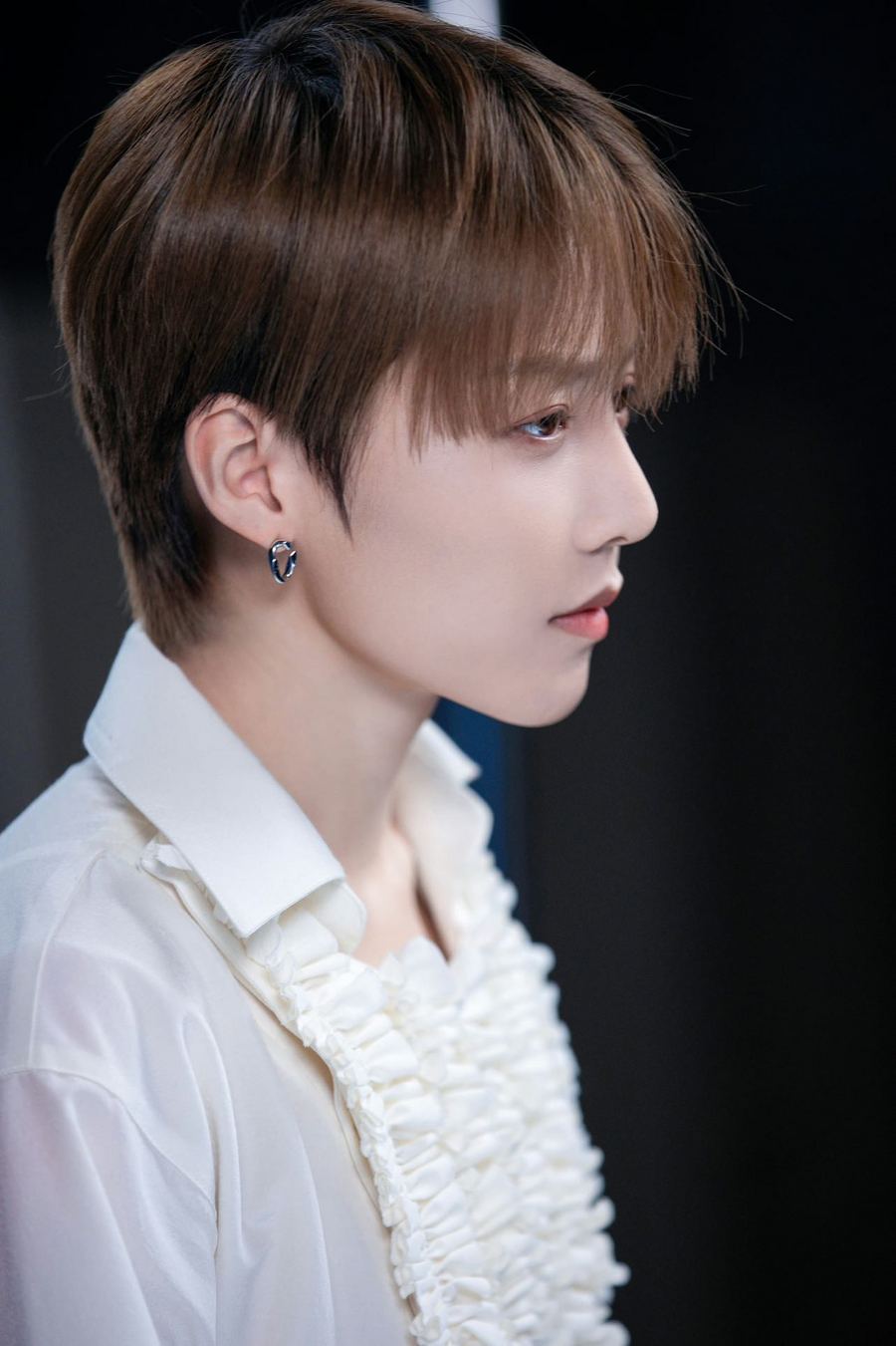 Liu Yuxin sang the theme song of "City of Museums" Chinese Civilization ...