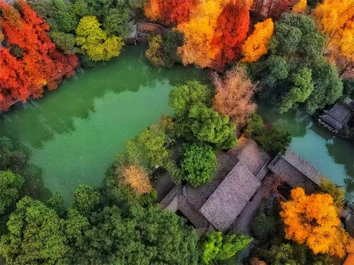 "Feng Hua Pond" is the benefit of the year's autumn - iNEWS