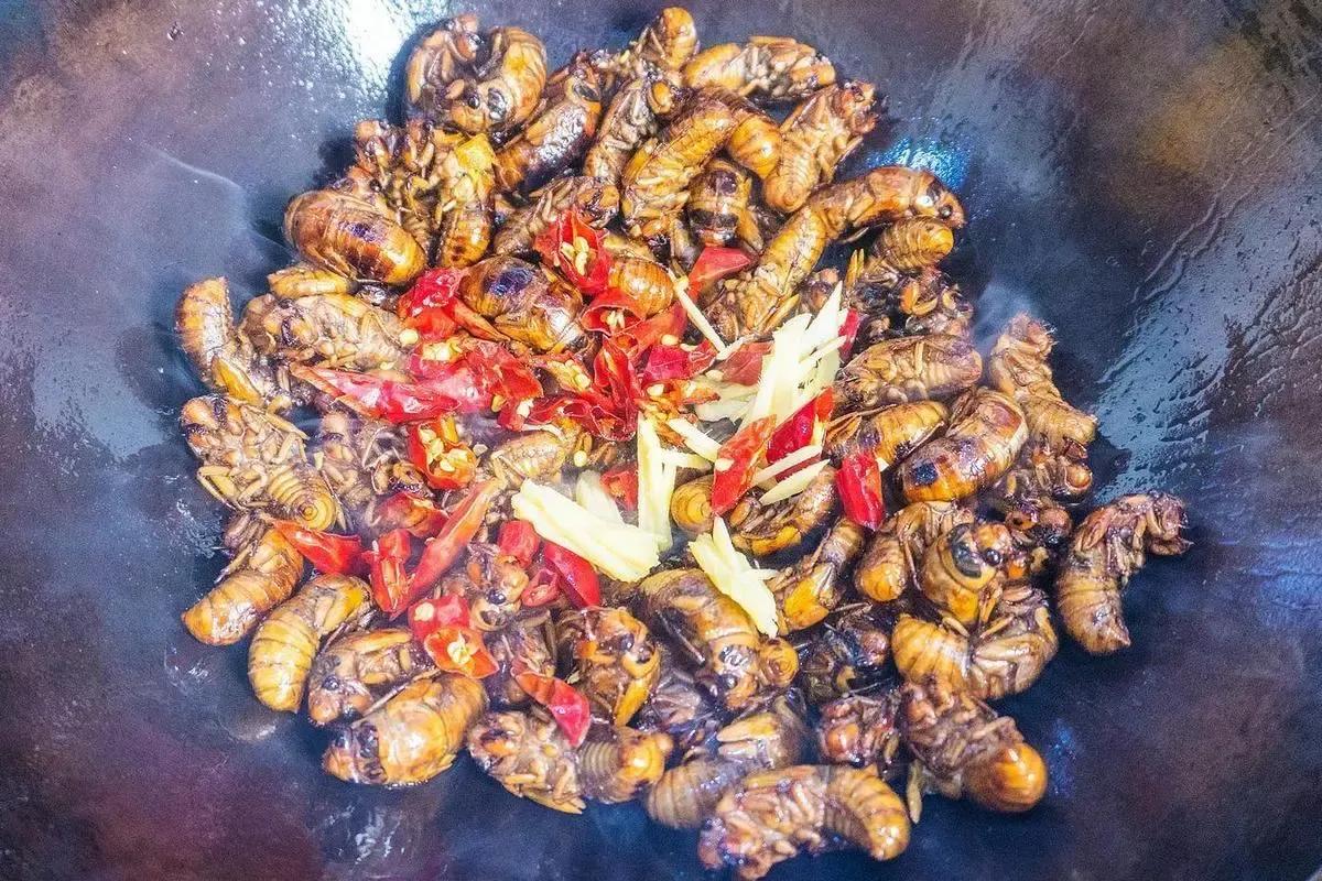 People only know that cicada monkey is delicious, but they never ...