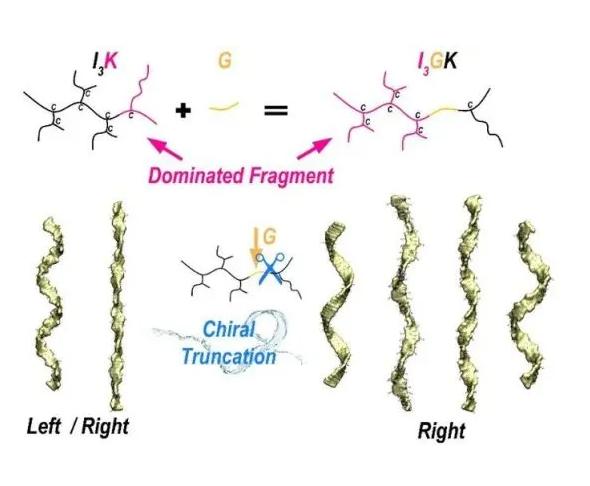 Structure of cholesterol helical ribbons and self-assembled biosprings ...